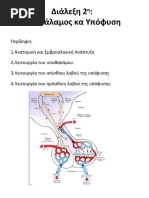 TO ΟΥΡΟΠΟΙΗΤΙΚΟ ΣΥΣΤΗΜΑ-ΑΝΑΤΟΜΙΑ | PDF