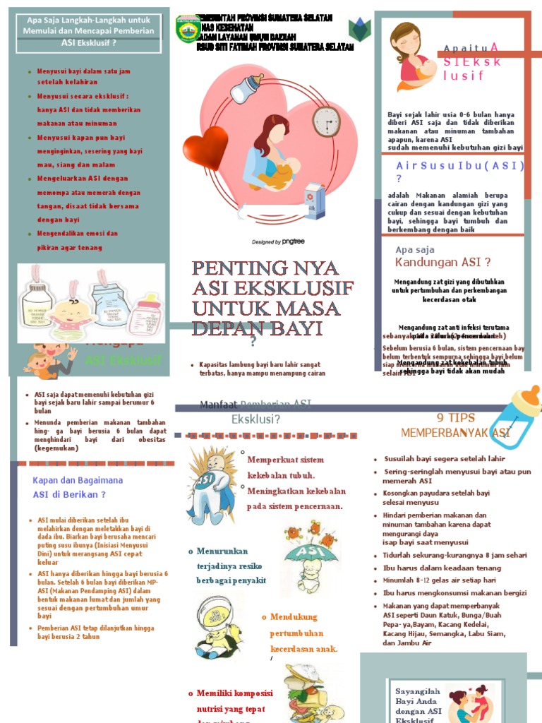 Leaflet ASI Eksklusif Aktualisasi | PDF