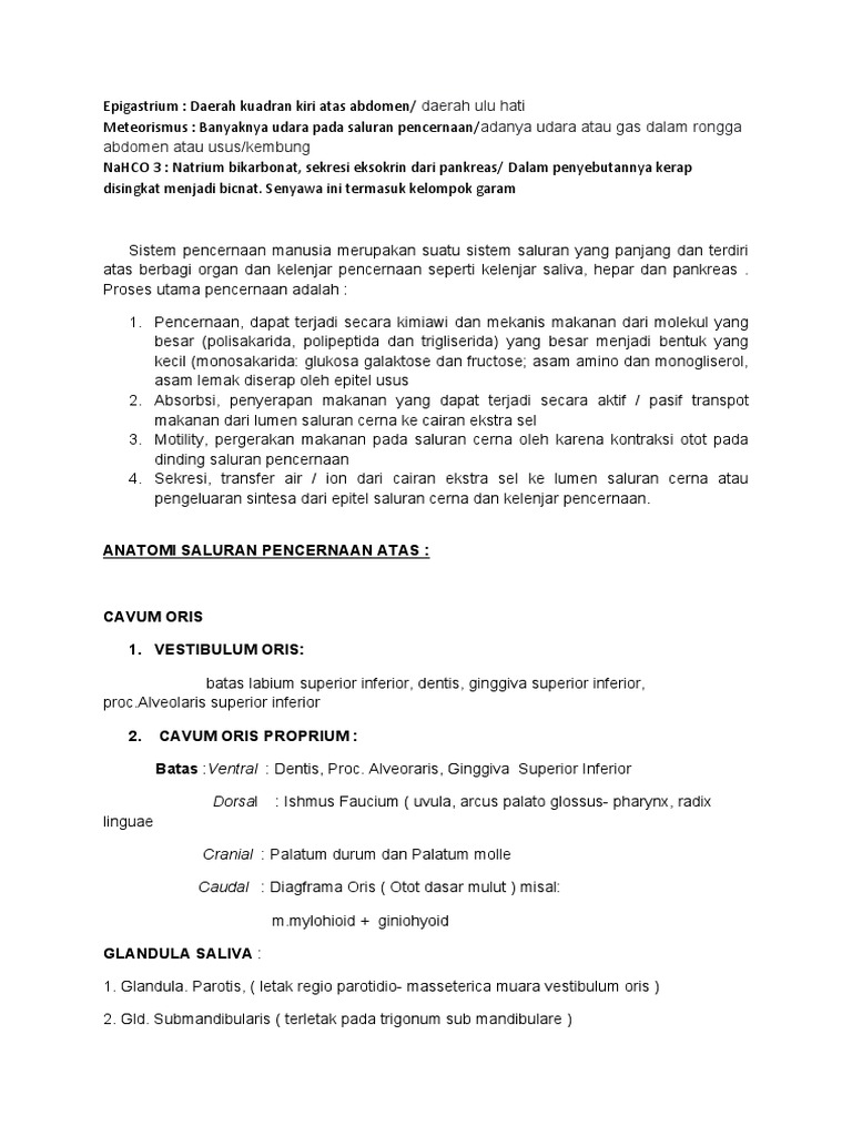 Definisi dan Anatomi Epigastrium | PDF | Kesehatan Holistik