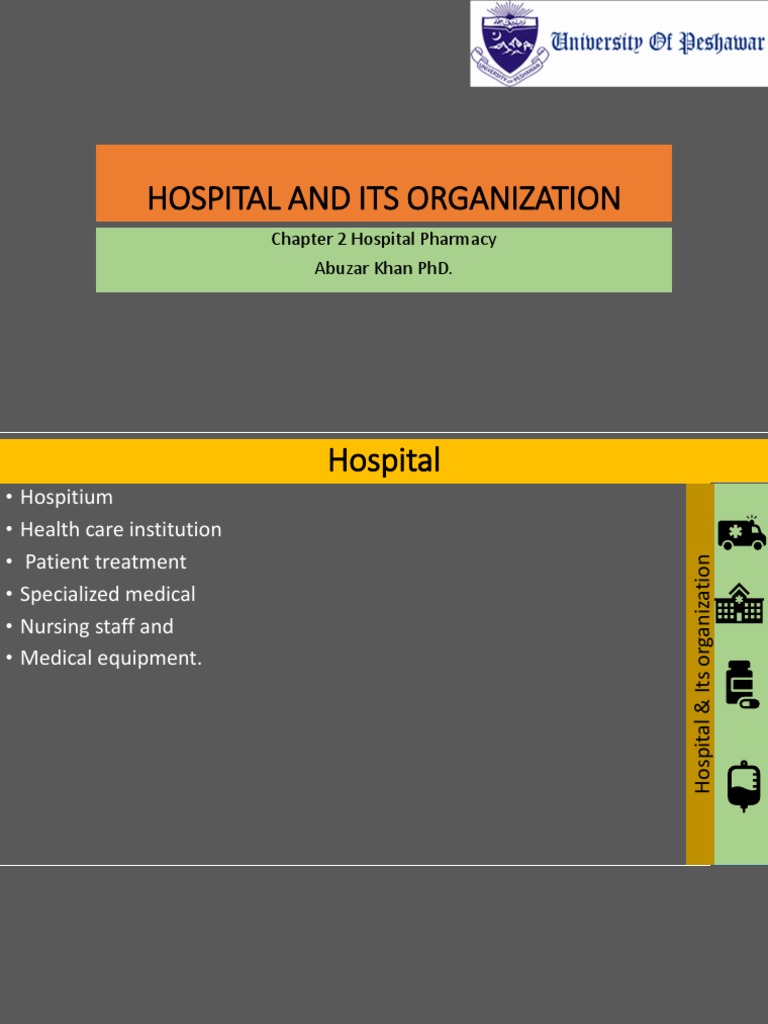 Hospital Organization and Structure Overview | PDF | Hospital | Medicine