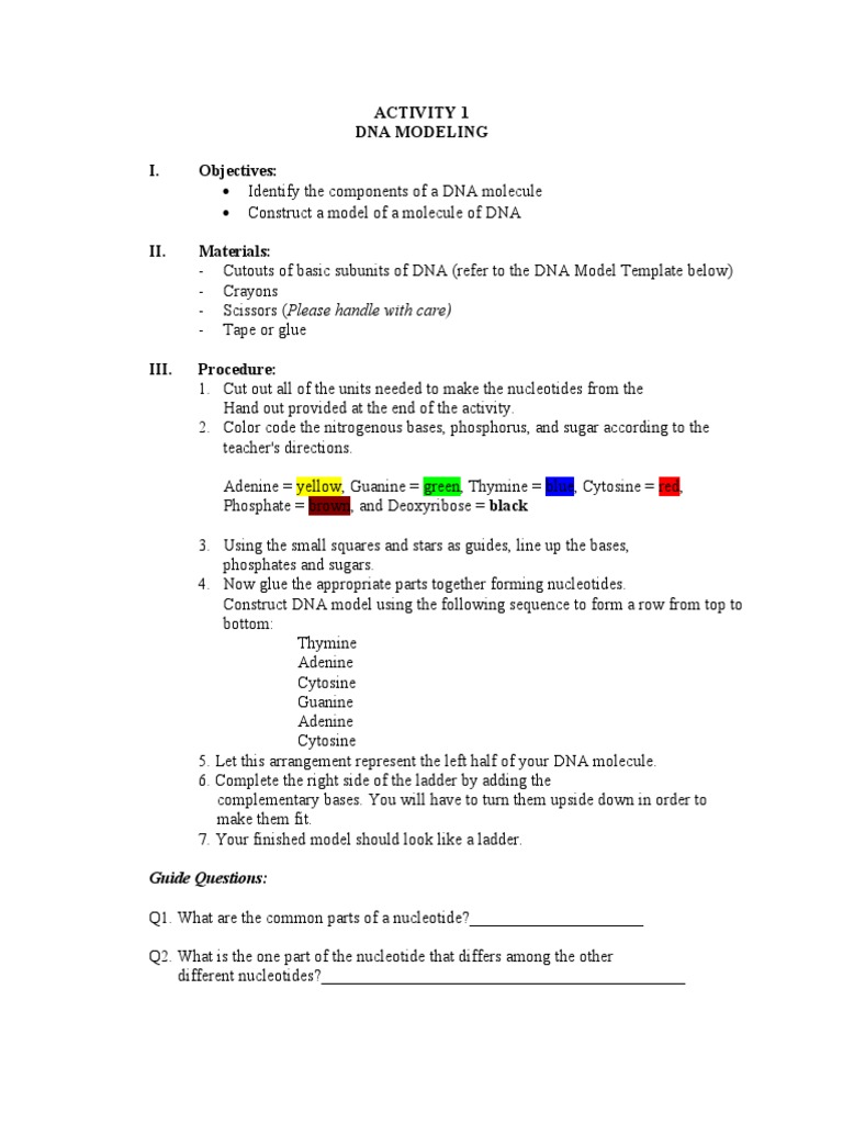 Grade 9 DNA Model Activity Guide | PDF