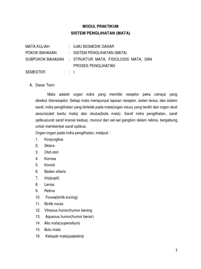 Modul Praktikum Sistem Penglihatan | PDF | Kesehatan Holistik | Sains & Matematika