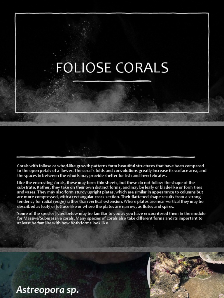 Foliose Coral Species Guide | PDF | Coral | Reef