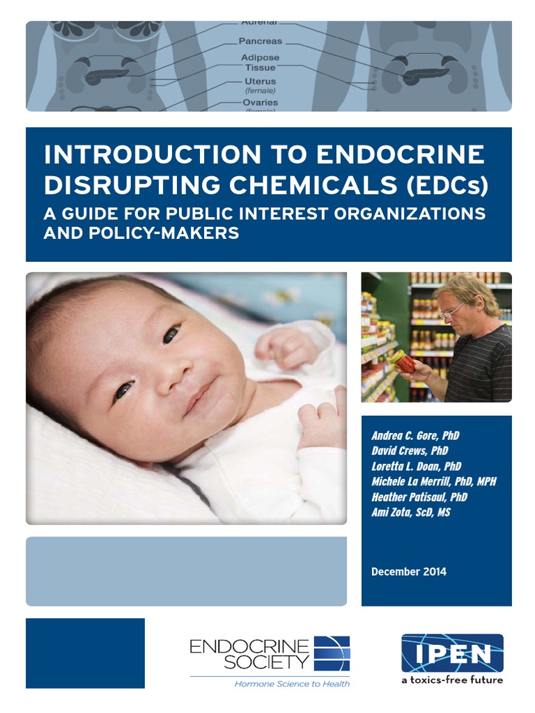Guide to Endocrine-Disrupting Chemicals | PDF | Hormone | Endocrine System