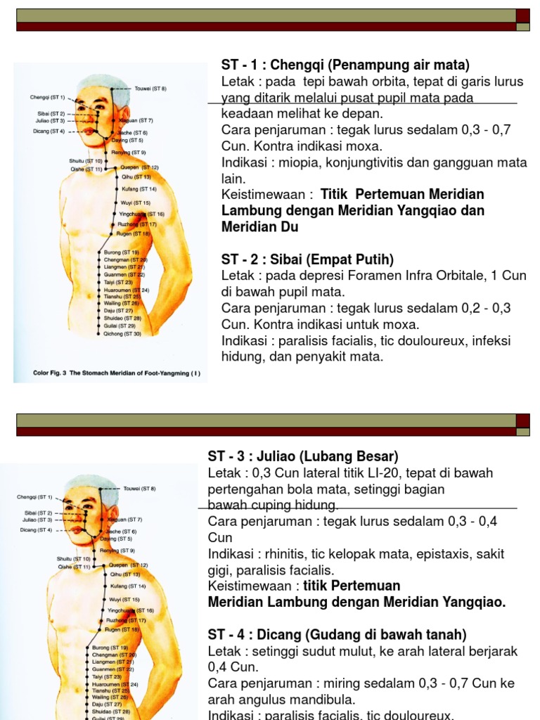 Titik Akupunktur Meridian Lambung | PDF | Pengembangan Diri | Kesehatan ...