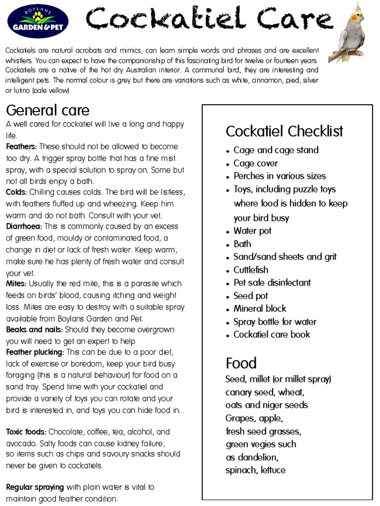 Cockatiel Care Guide and Tips | PDF | Birds | Parrot