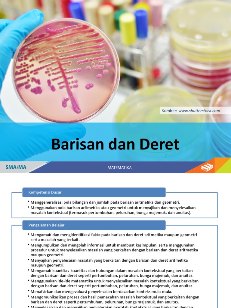 Panduan Barisan dan Deret Matematika | PDF | Sains & Matematika | Komputer