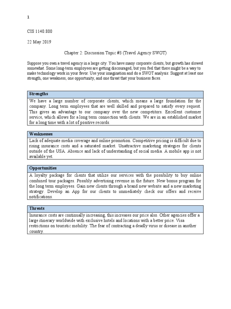 Travel Agency SWOT Analysis Insights | PDF