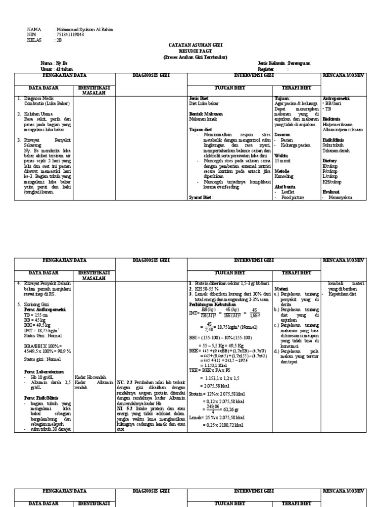 Pagt Luka Bakar | PDF