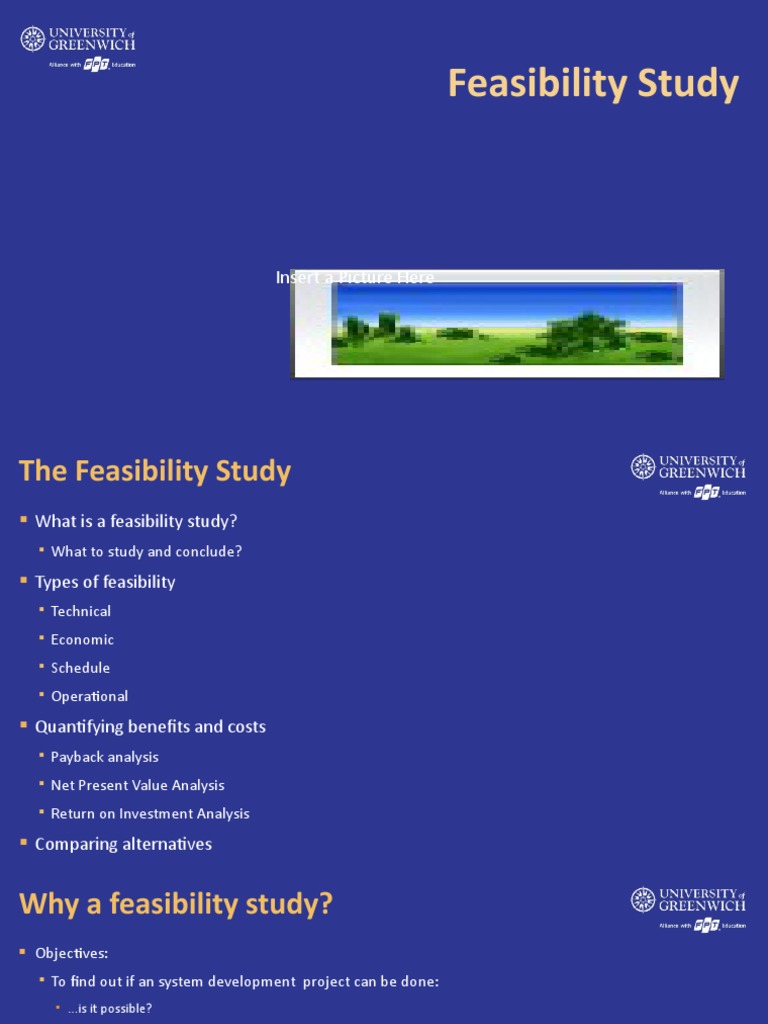 Chapter 1. Feasibility Study | PDF | Net Present Value | Feasibility Study
