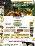 Especies y Razas de Abejas | PDF | Abejas | Apicultura