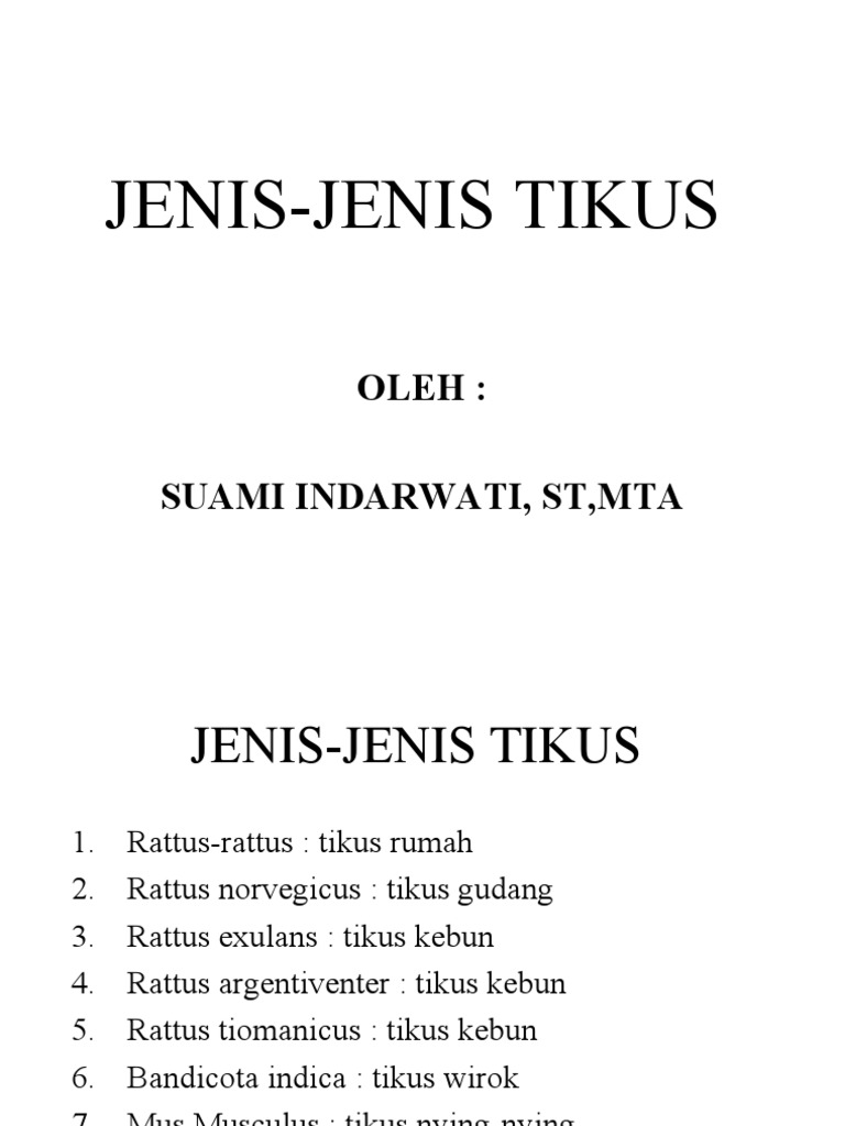Jenis-Jenis Tikus | PDF