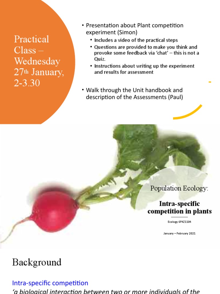 Radish Experiment | PDF | Root | Competition