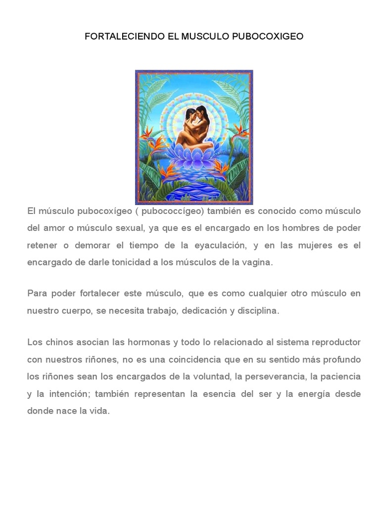 Fortaleciendo El Musculo Pubocoxigeo | PDF | Eyaculación | Orgasmo