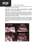 Curva de Scammon | PDF | Estilo de vida