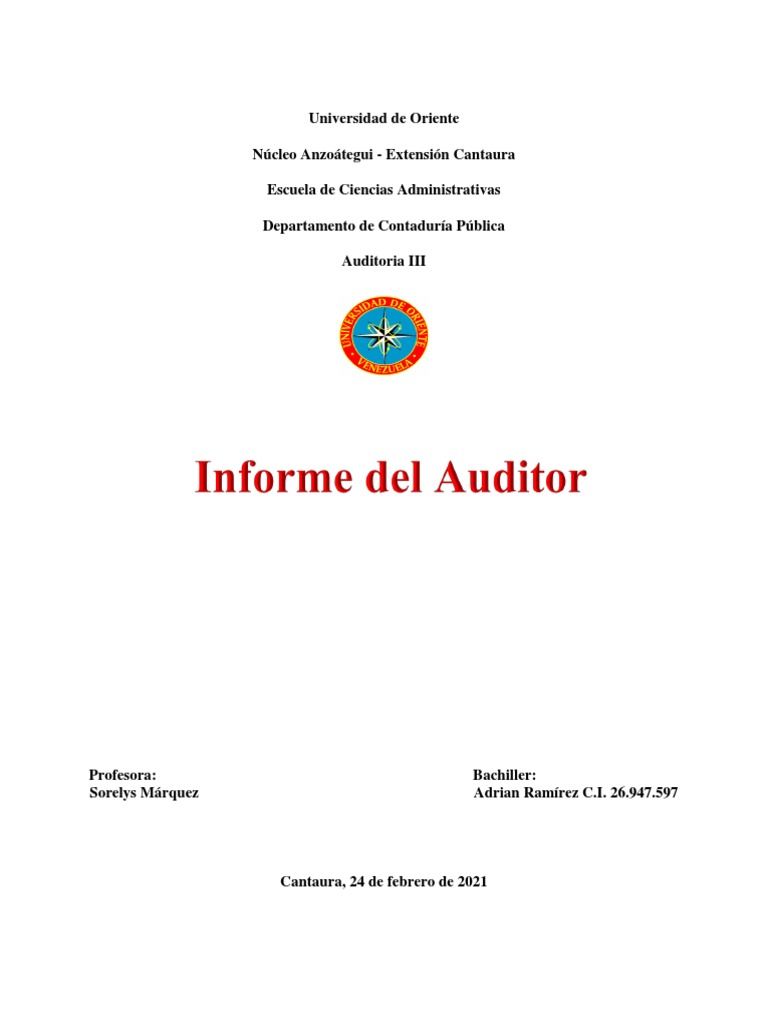 Informe Del Auditor - Adrian | PDF | Auditoría | Contralor