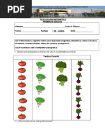 Prueba de 2D y 3D Primero Básico | PDF | Rectángulo | Geometría euclidiana