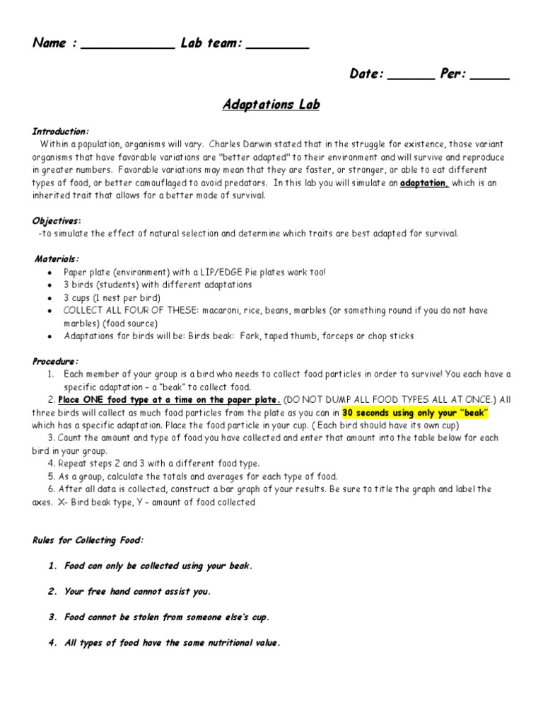Adaptations Lab: Bird Beak Types | PDF | Adaptation | Biology