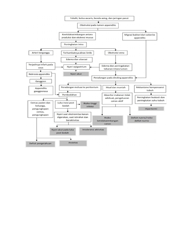 Woc Anak Sakit 1 Pdf