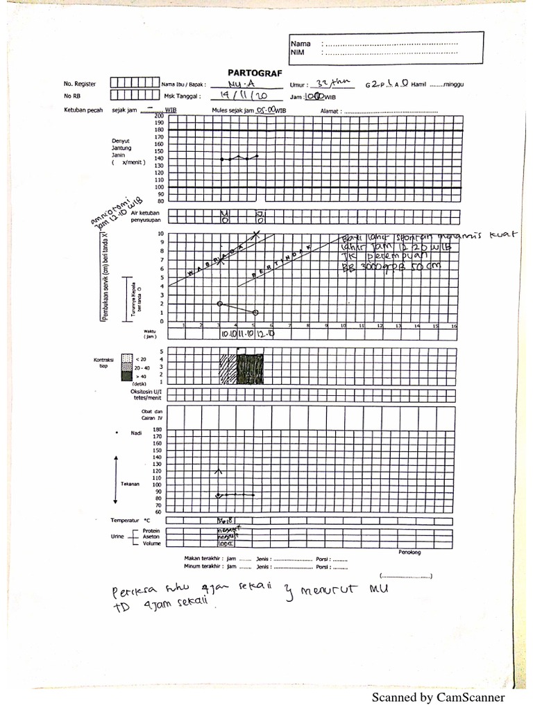 Scanned Document Viewer | PDF