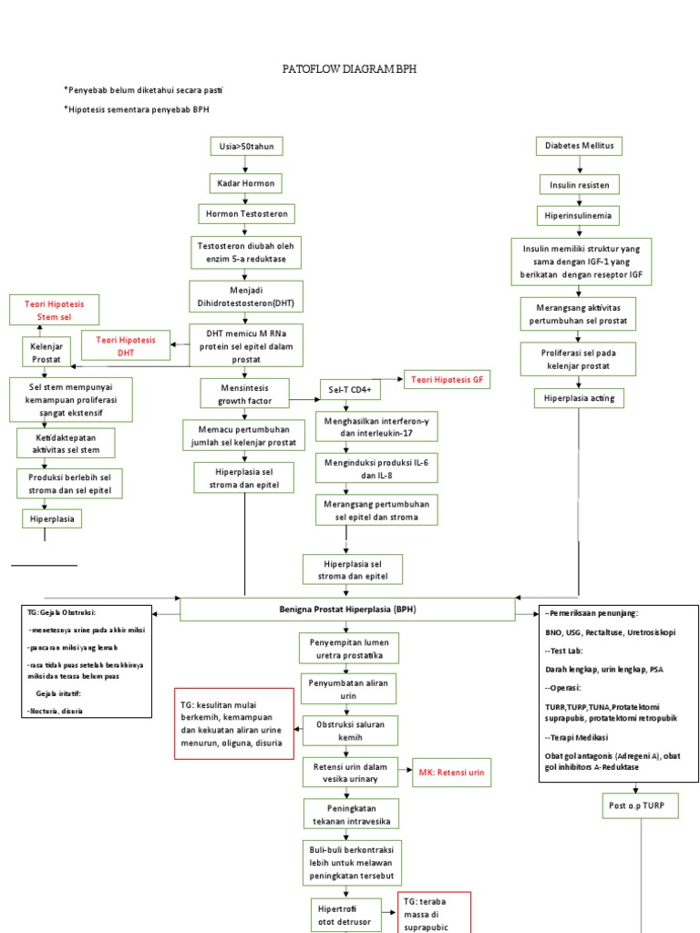 PATOFLOW DIAGRAM BPH Fixed | PDF