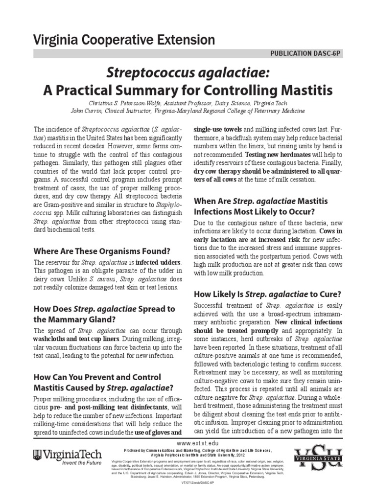 Streptococcus Agalactiae - A Practical Summary For Controlling Mastitis ...