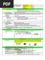 Detailed Lesson Plan in Science 6 Quarter 2 Vertebrates | PDF ...