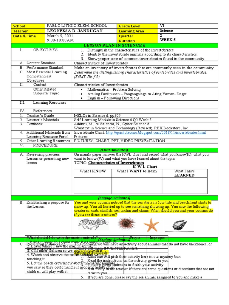 Invertebrate Animals: Characteristics & Care | PDF | Invertebrate | Sponge