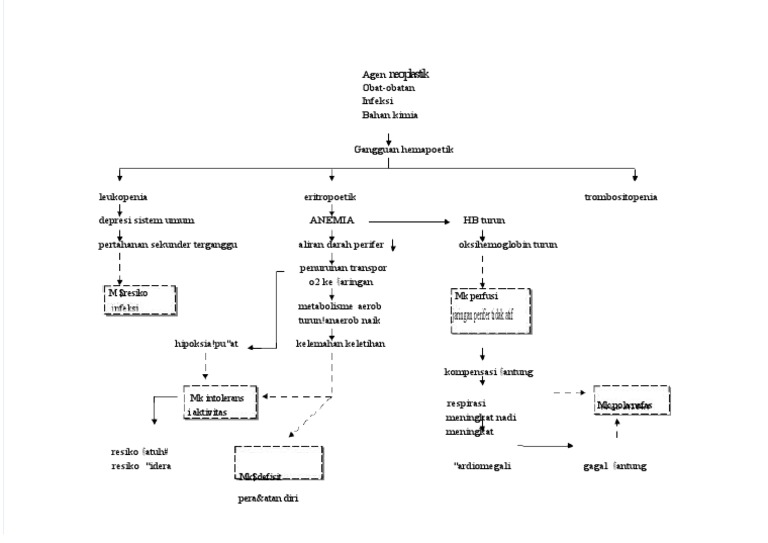 PDF Woc Anemia | PDF