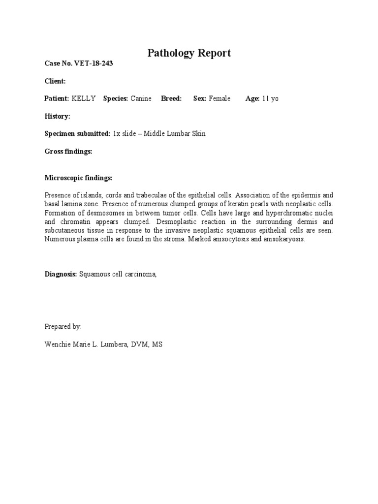 Pathology Report | PDF