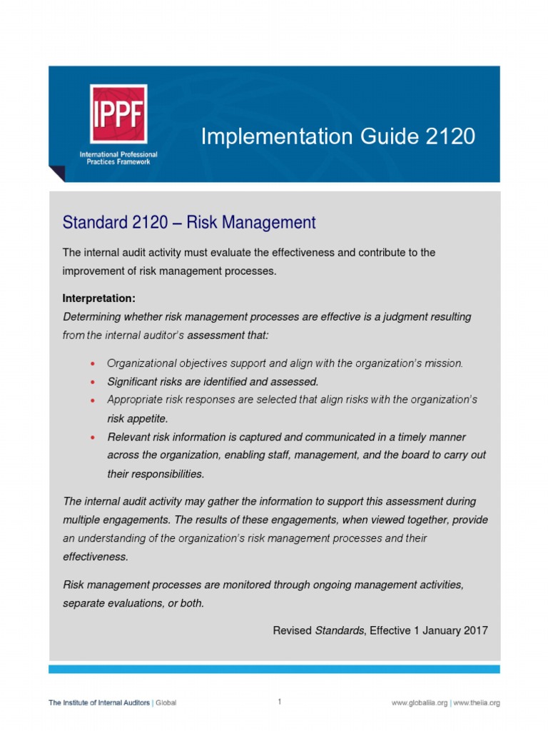 Implementation Guide 2120: Standard 2120 - Risk Management | PDF ...