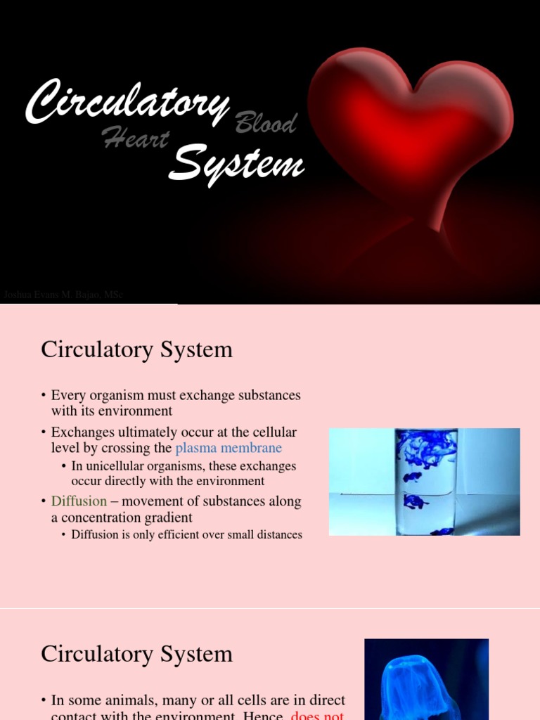 Biology 2 Lecture 7 - Circulatory System | PDF | Circulatory System ...