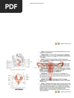 Female Erotic Zones Explained | PDF | Clitoris | Vagina