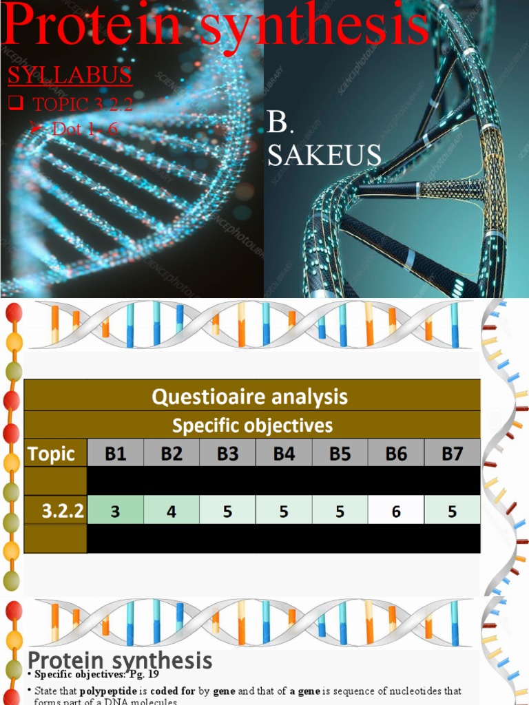 Protein Synthesis: Genes, Transcription, Translation and Mutations ...