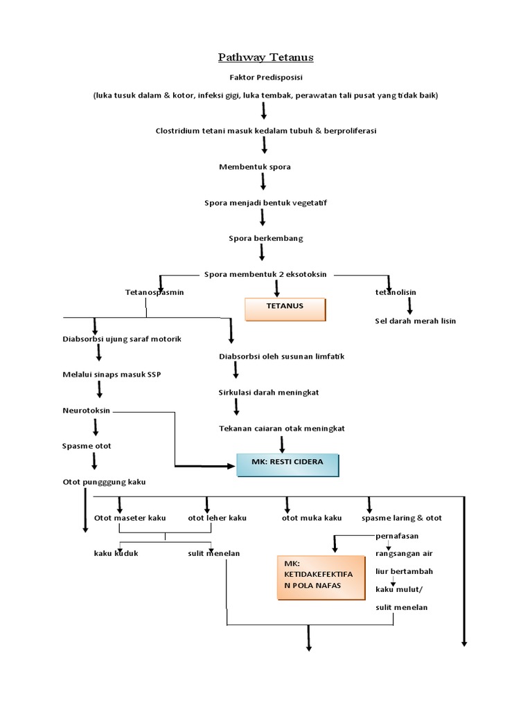 Pathway Tetanus | PDF