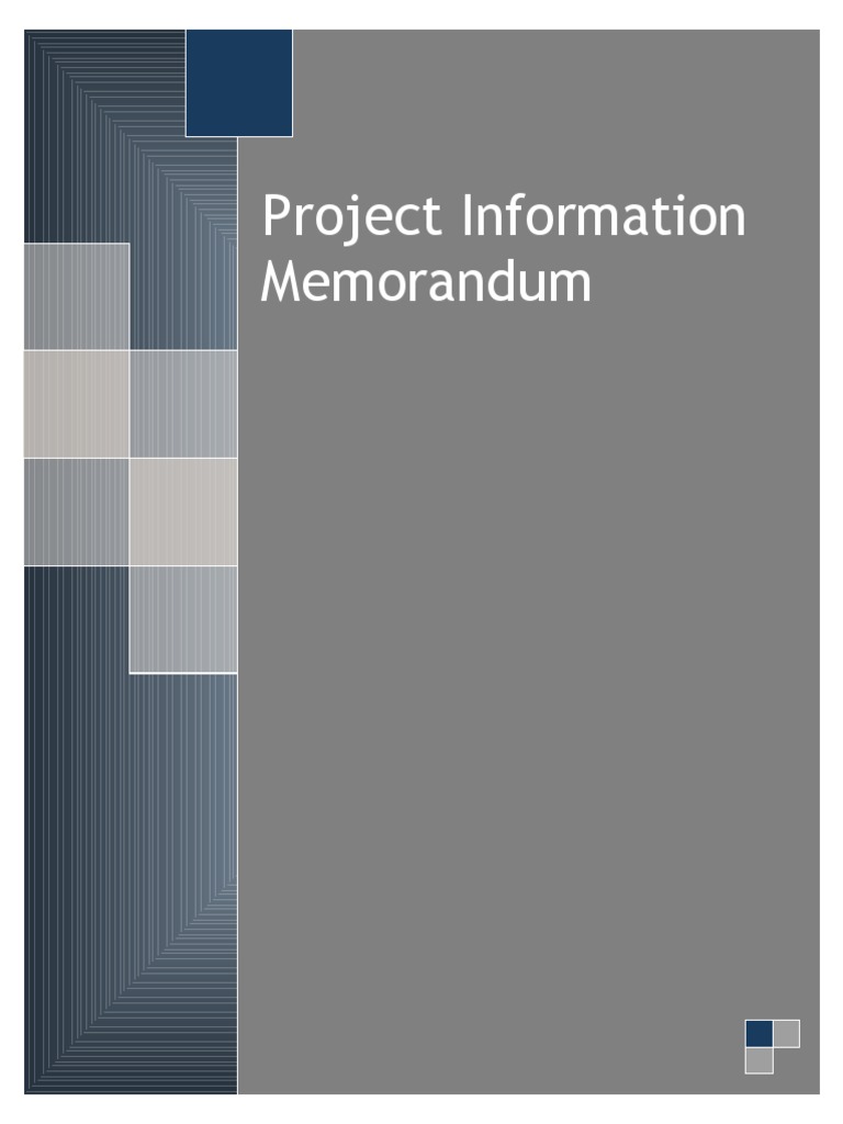Project Information Memorandum: Medica Synergie Private Limited | PDF ...