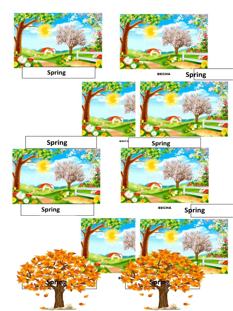 Seasons Flashcards | PDF