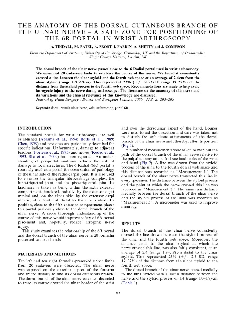 Tindall 2006 The Anatomy of The Dorsal Cutaneous | PDF | Hand | Anatomical Terms Of Location