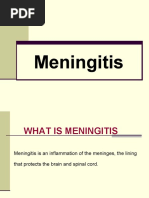 Meningitis | PDF | Meningitis | Public Health