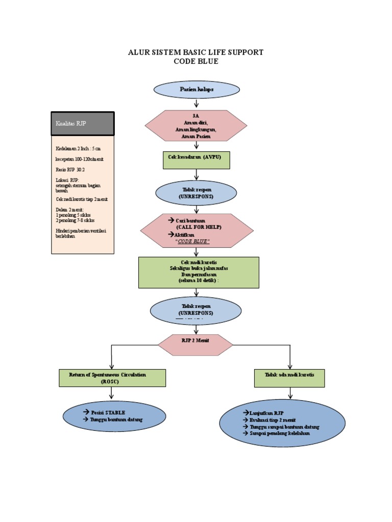 Alur Sistem Basic Life Support Emt | PDF