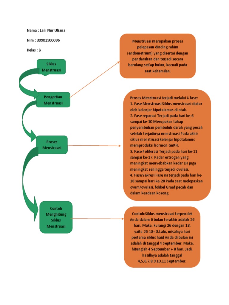 Mind Map Menstruasi | PDF
