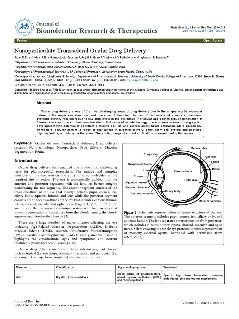 Nanoparticulate Transscleral Ocular Drug Delivery | Download Free PDF | Retina | Glaucoma