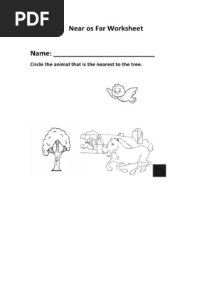 Near And Far Worksheets