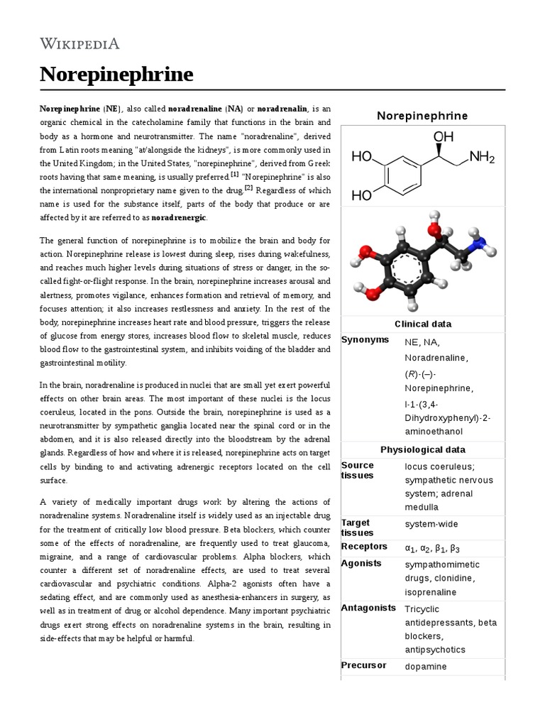 Norepinephrine | PDF | Norepinephrine | Dopamine