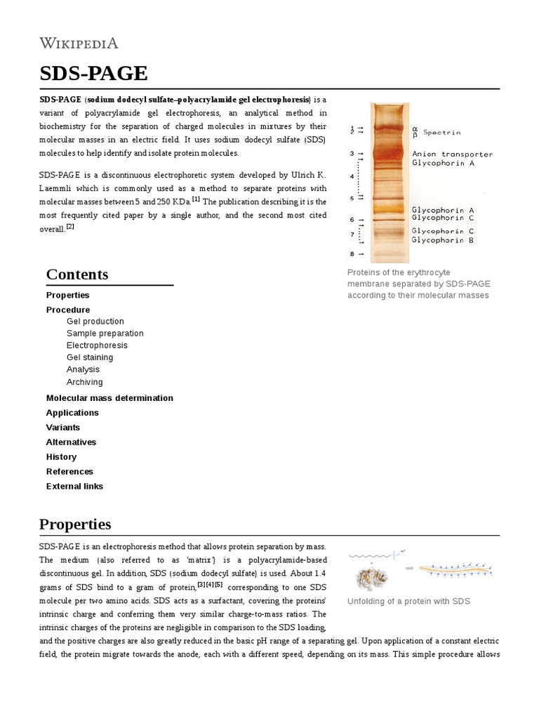 Sds-Page: SDS-PAGE (Sodium Dodecyl Sulfate-Polyacrylamide Gel ...
