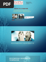 Fase Cromatica, Enfisematosa, Licuefactiva, Esqueletización y ...