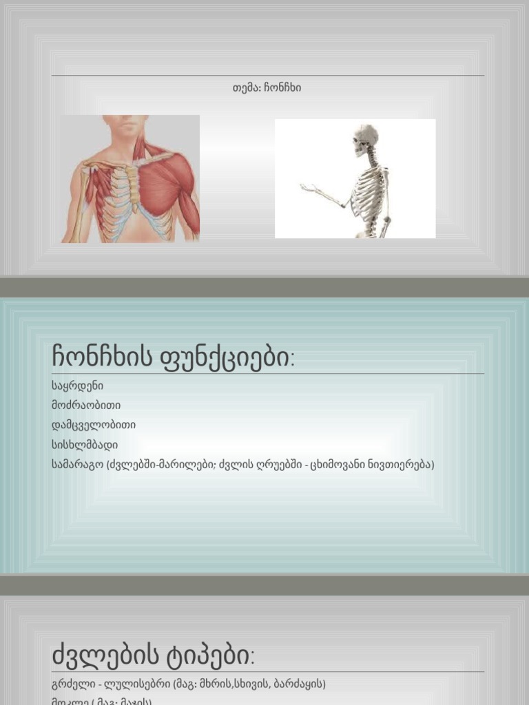 ჩონჩხი Pdf