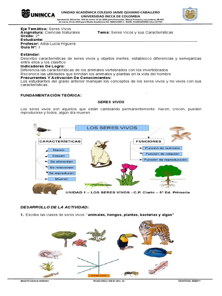 Actividades sobre Seres Vivos 2° Grado | PDF | Organismos | Educación ...