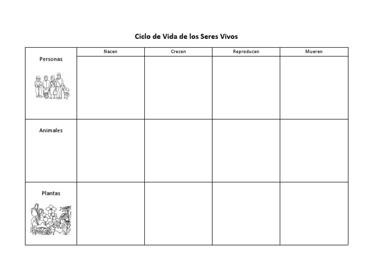 Ciclo de Vida de Los Seres Vivos | PDF