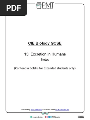 Igcse Biology Topic 13 Excretion In Humans Summary Kidney: Excretion